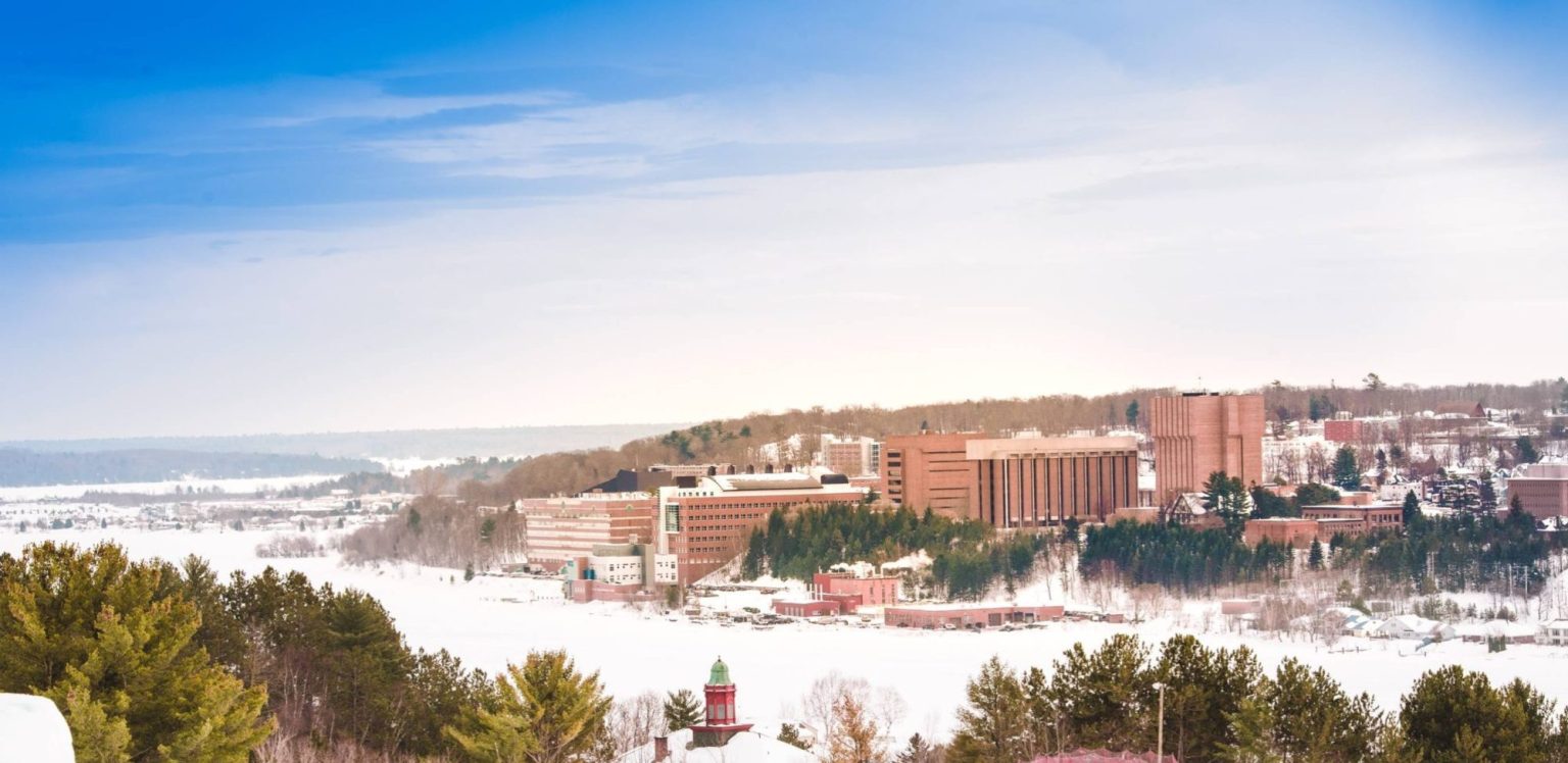 Timber Strong – Built World Enterprise